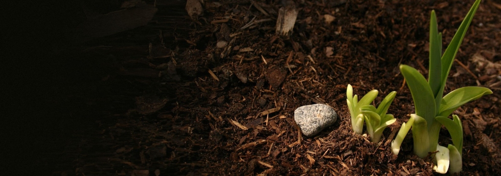 The First Stone | National Creation Fund | National Arts Centre